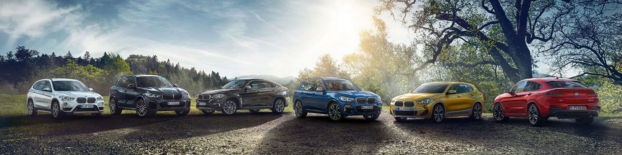 Book a Test Drive - Performance Motors