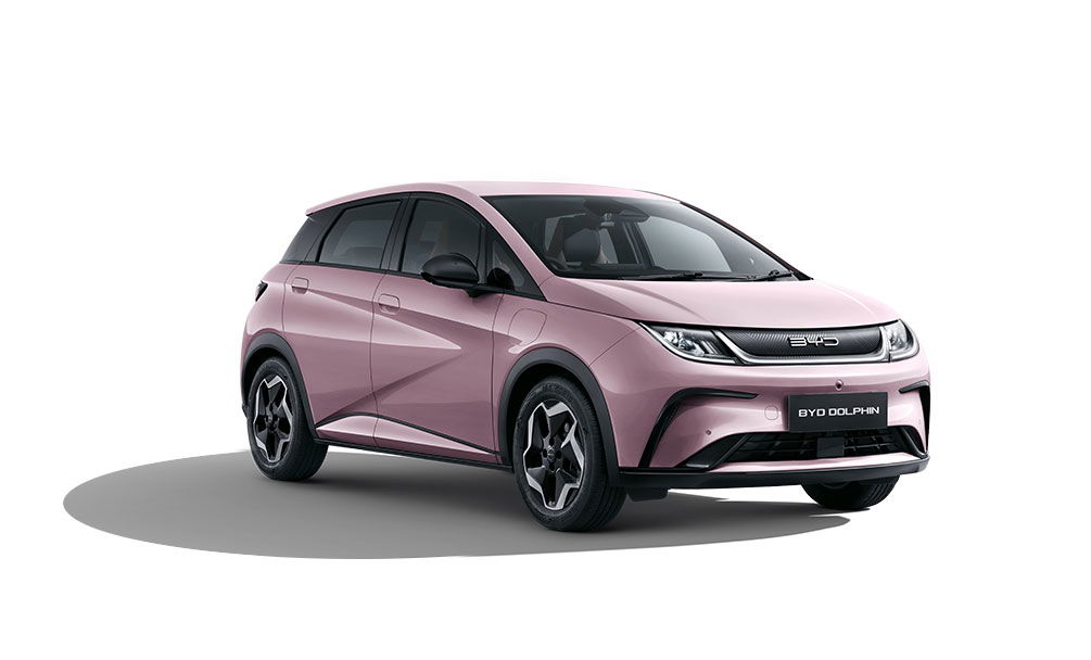 Dolphin - BYD Dunedin