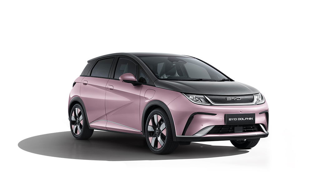 Dolphin - BYD Dunedin